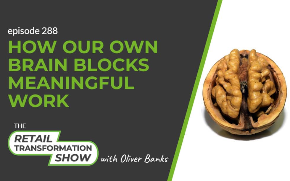 288: How Our Own Brain Blocks Meaningful Work | OB&Co